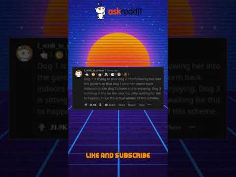 Pet drama #shorts (r/askreddit Reddit Stories | Top Posts)