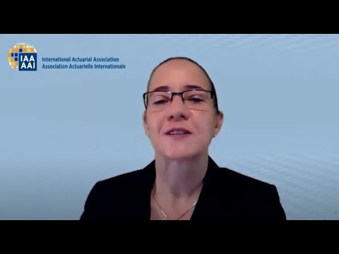 ICP 8 risk management and internal control