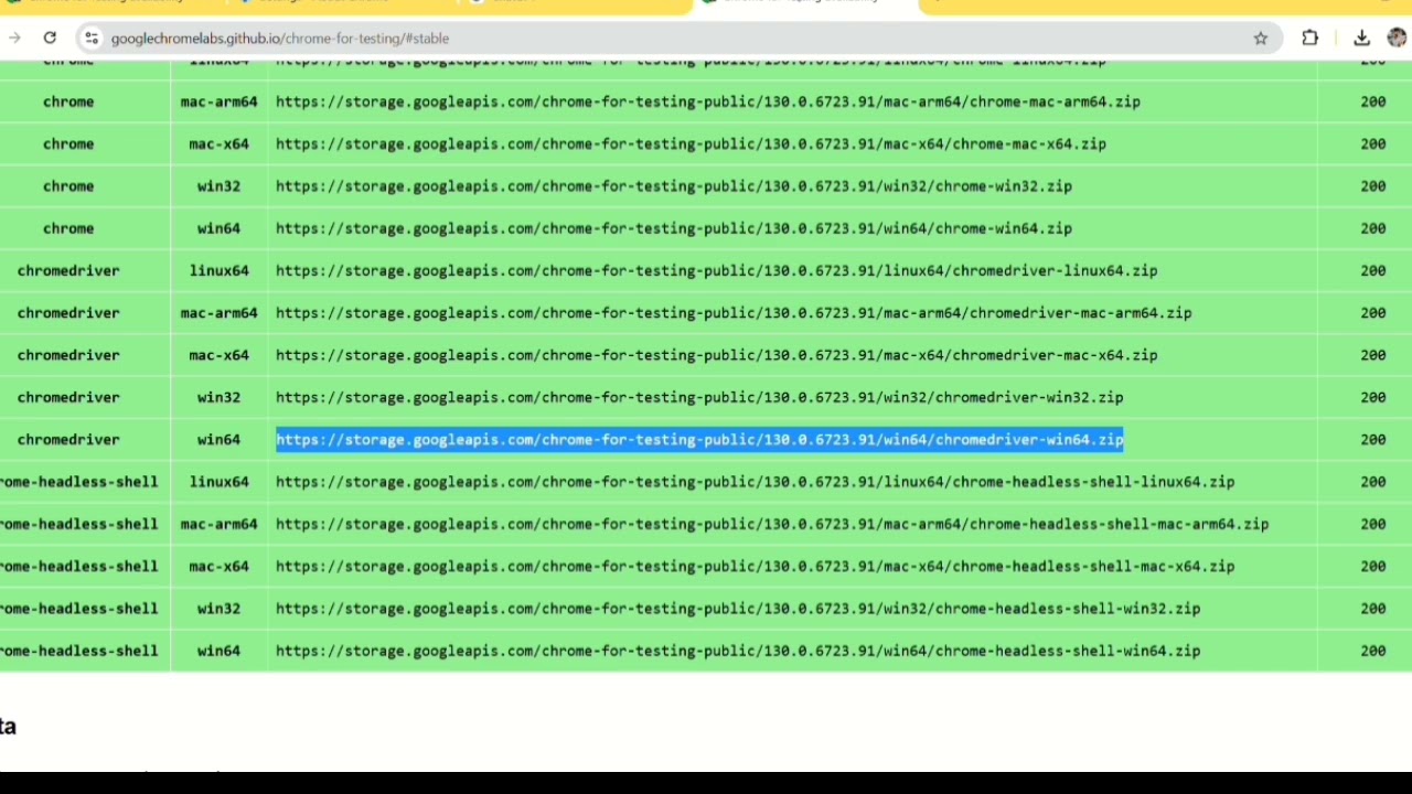 Install and Explore Selenium for automated testing. devops labmanual