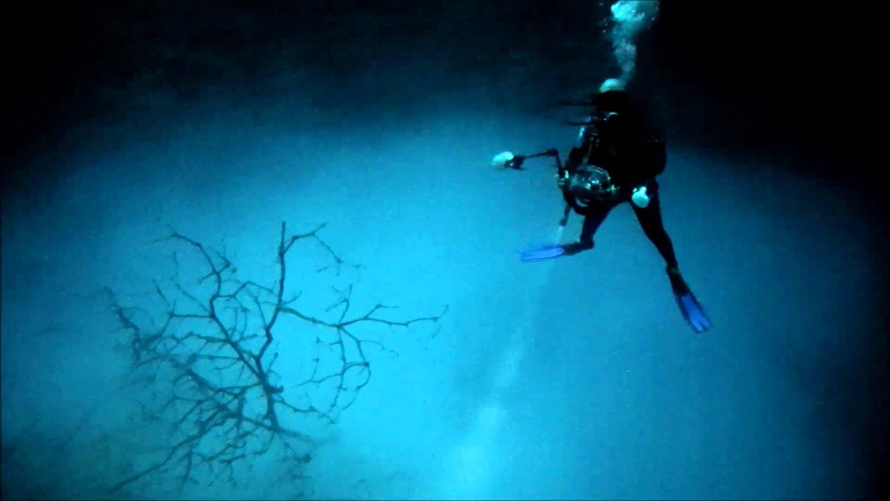 Xtreme Gap Year Diving Cenote Pit