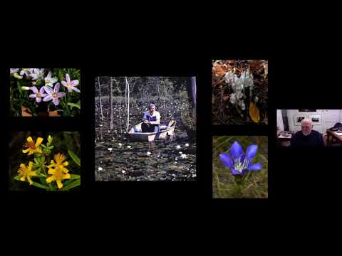 Inspiration from the Art of Paul J. Stankard - A Window into my Studio and my Soul