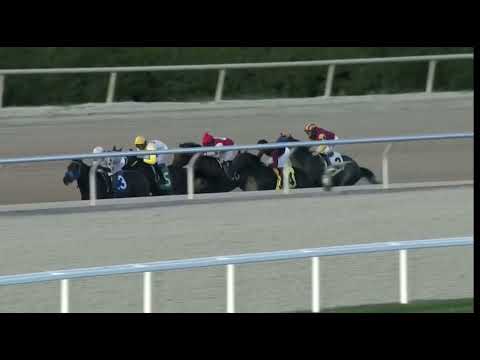 2022 Mucho Maco Man Stakes | Simplification | Gulfstream Park |