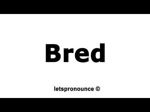 How to Pronounce Bred