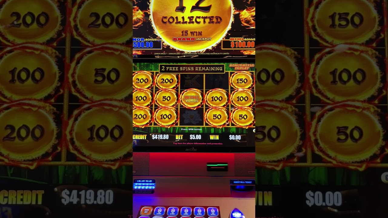 Everybody’s Favorite Panda 🐼