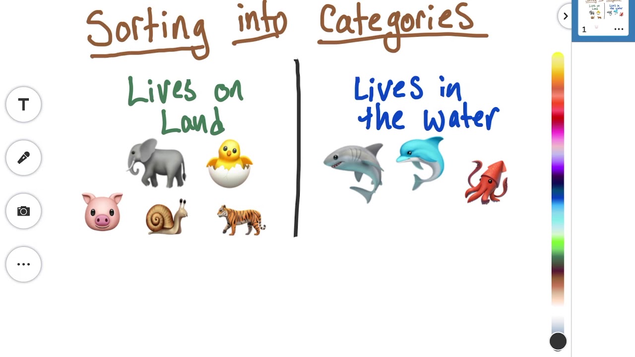 Sorting in Categories (K-2)