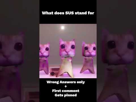 what does SUS stand for? #shorts #funny #cat #dontscroll #elgato #roblox