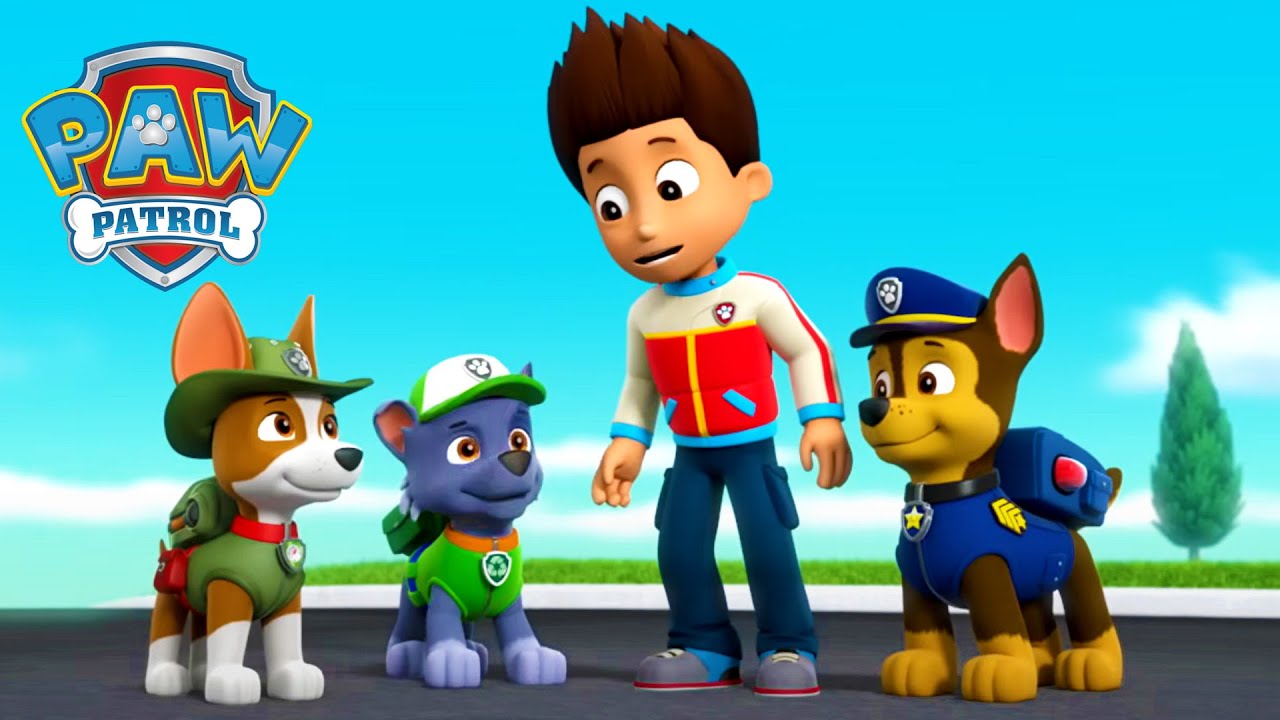 The Pups are a DREAM TEAM! 🐾  -  PAW Patrol - Cartoons for Kids