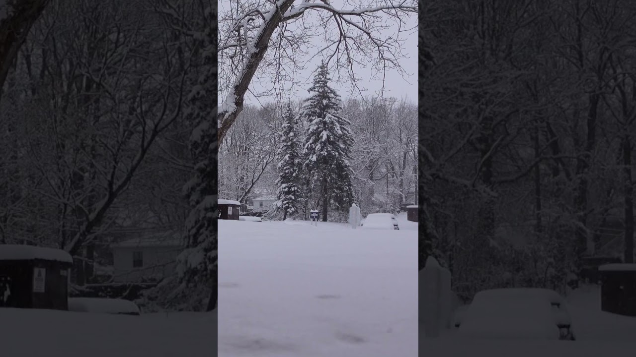 scroll break: unwind and watch the snow fall ❄️ #ambience #soundscapes #winterwonderland #scenery