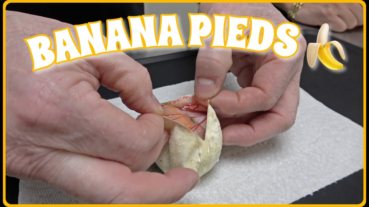 Combo Banana Pied Egg Cutting!