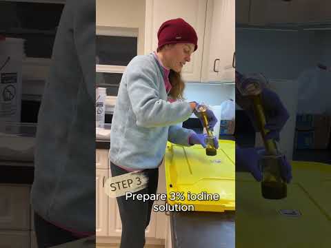Kelp Spore Release with Dr. Kelp (Tiff Stephens) | Kelptastic Farms
