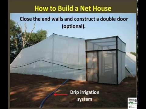 How to Build a Net House for Insect Pest Exclusion
