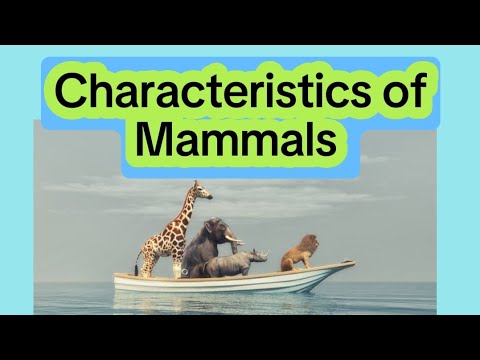 Characteristics of Mammals | Vertebrates | Biology