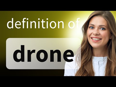 Drone • DRONE definition