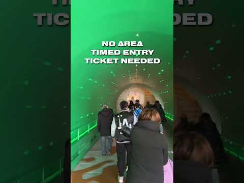 SECRET in Super Nintendo World ๐คฏ | No Timed Entry Ticket | Universal Studios Japan #shorts