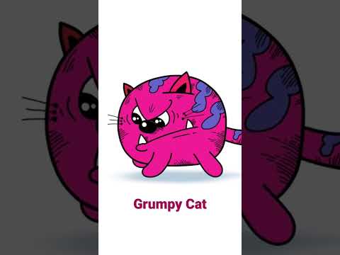 Grumpy Cat #cat #cats #shorts #funny #funnyvideo