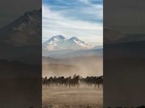 How to Enhance a Photo #shorts
