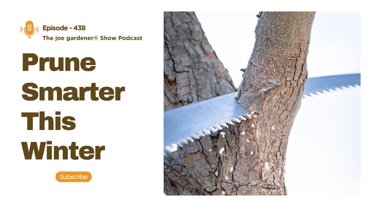 Avoid Tree Damage This Winter | Pro Tips from an Arborist | The joegardener® Show