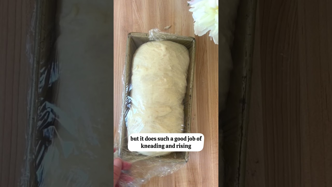 Making Homemade Bread a Reality (and our favorite sandwich bread recipe)