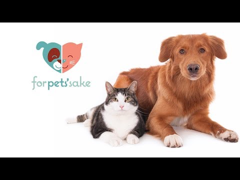 For Pets' Sake: August 2017