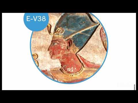 According to 23andMe, 60% of Black Americans Share Paternal Haplogroup wit Ramses the 3rd