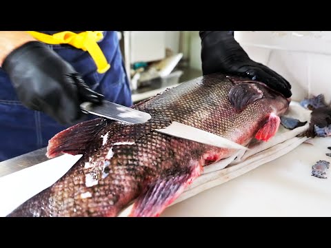 American Food - HALIBUT & BLACKFISH The Shipwright’s Daughter Connecticut Seafood