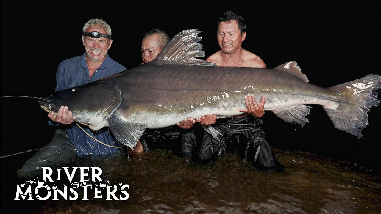 Best Moments and Catches in The Amazon on River Monsters
