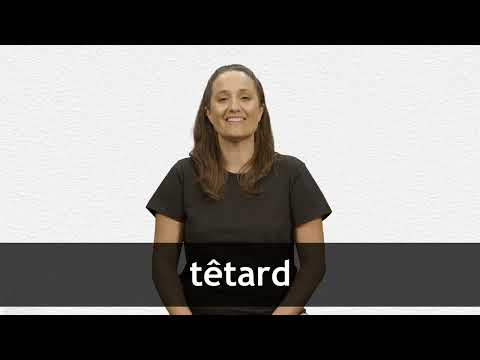 English Translation of “TÊTARD” | Collins French-English Dictionary