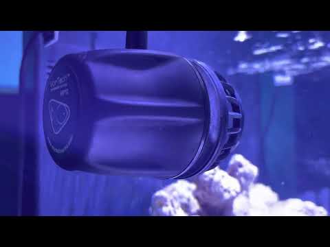 Noisy Vortech MP10