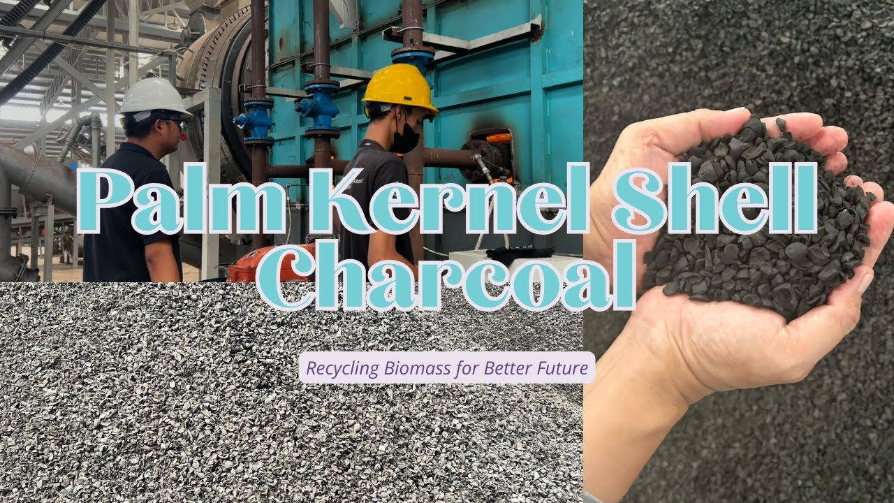 Turning Palm Kernel Shells into Global Sustainable Energy
