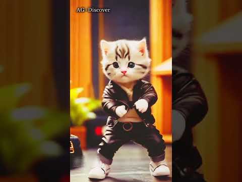 Funny Cat Face Dance with Human Body | Viral Meme Edit 😂🔥AG Discover