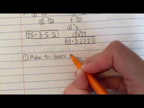 11: Notes: Prime Factorization