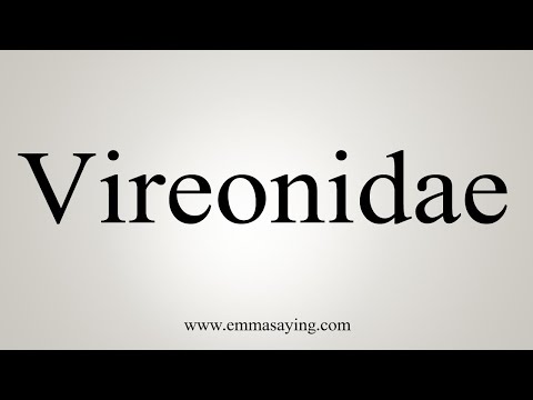 How To Say Vireonidae