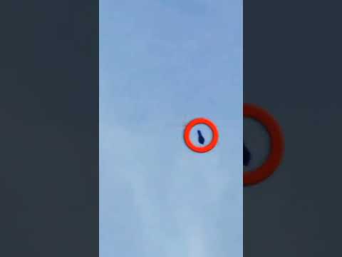 WORLD'S FASTEST BIRD MAX SPEED 360KM/H PEREGRINE FALCON ATTACK PIGEON