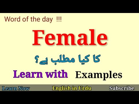 Female Meaning