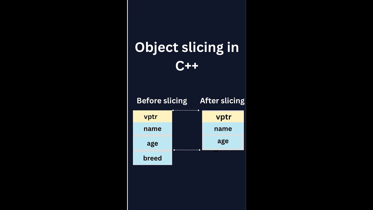 Why Your Polymorphism Breaks | C++ Object Slicing Explained