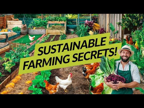 Top 5 Sustainable Farming Methods for Small Farms