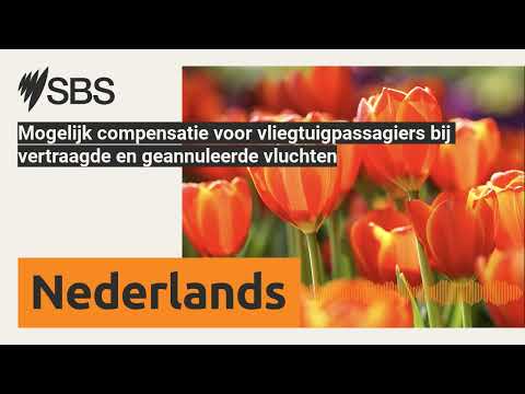 Mogelijk compensatie voor vliegtuigpassagiers bij vertraagde en geannuleerde vluchten | SBS...