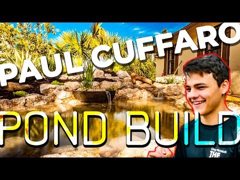 Paul Cuffaro’s KOI POND at his New House – Katrina Solis
