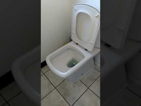 Faulty macerator.