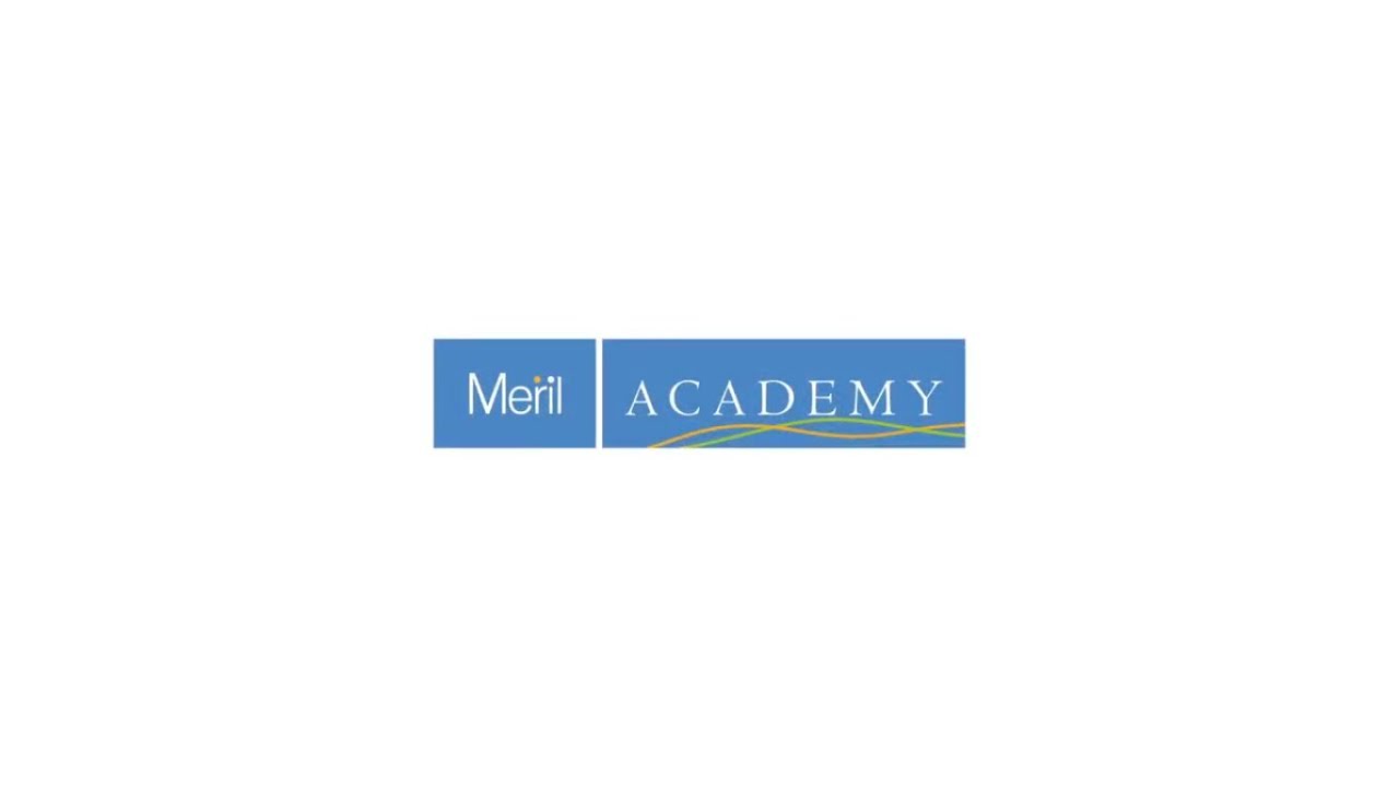 Meril Academy