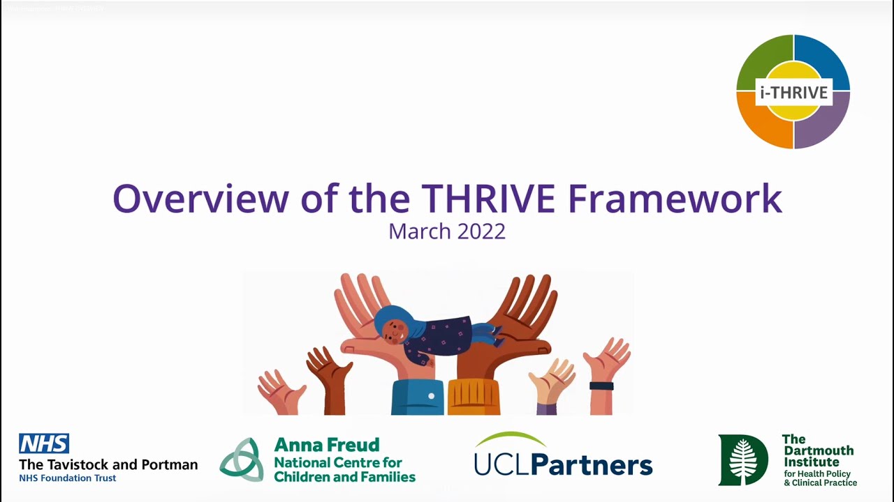 Overview of the THRIVE Framework