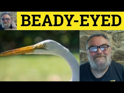 🔵 Beady Meaning - Beady Eye Defined - Beady-Eyed Examples - Idioms - Beady Eye