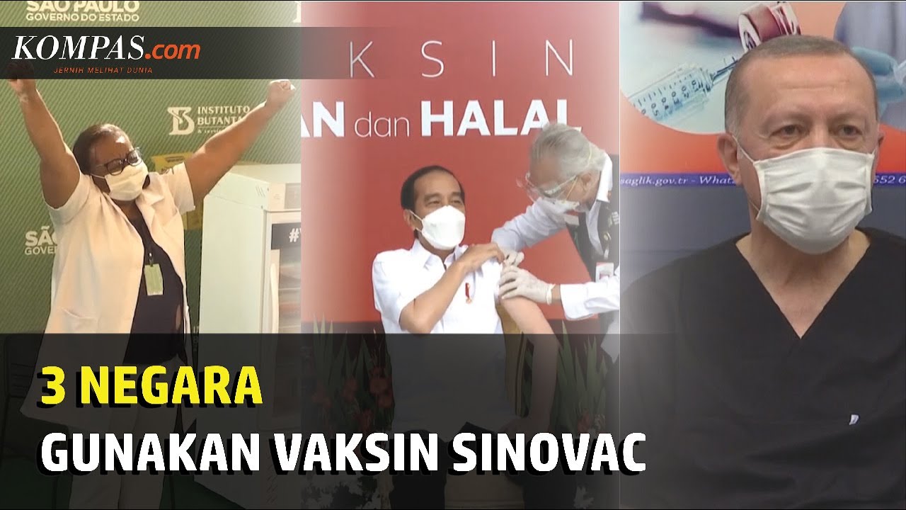 Sejumlah Negara yang Mulai Vaksinasi dengan Vaksin Sinovac