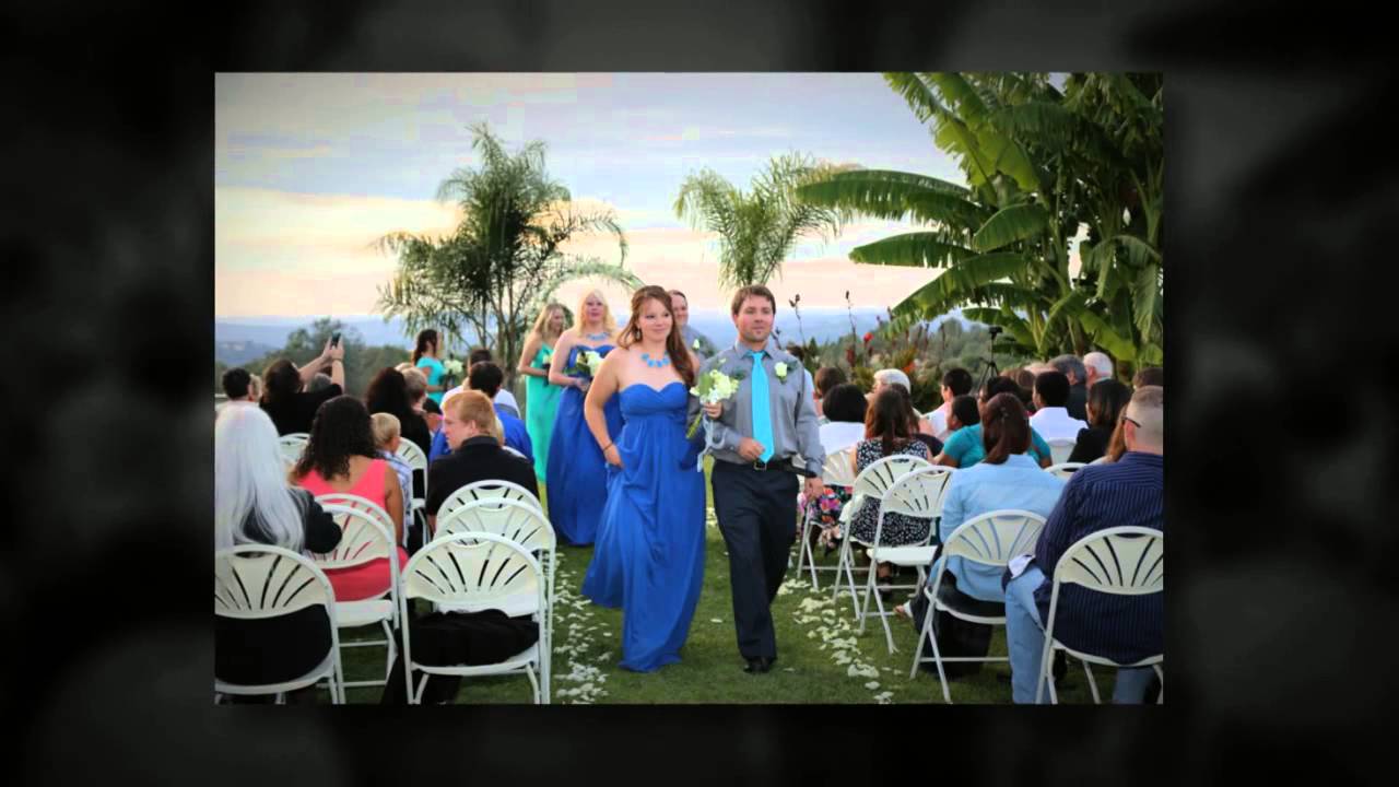 Daniel & Haley's Wedding, 2013