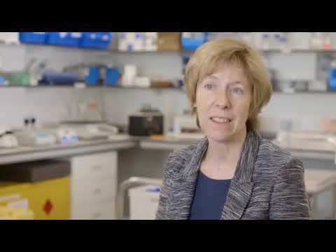 Welcome to the NIHR Biomedical Research Centre and Guy's and St Thomas' and King's College London