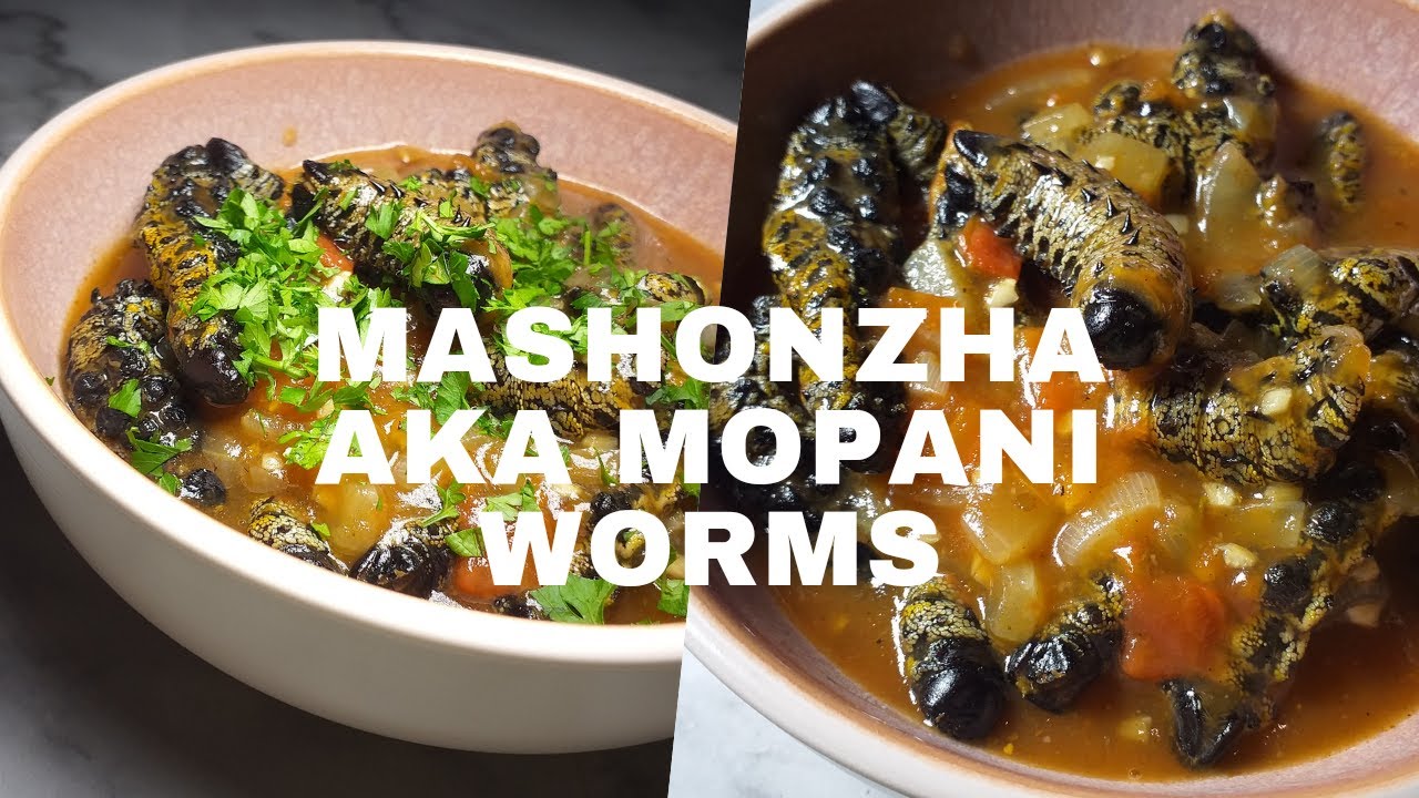 Masonja / Mopani / Mopane Worm Recipes – The Best African Dried Moth ...