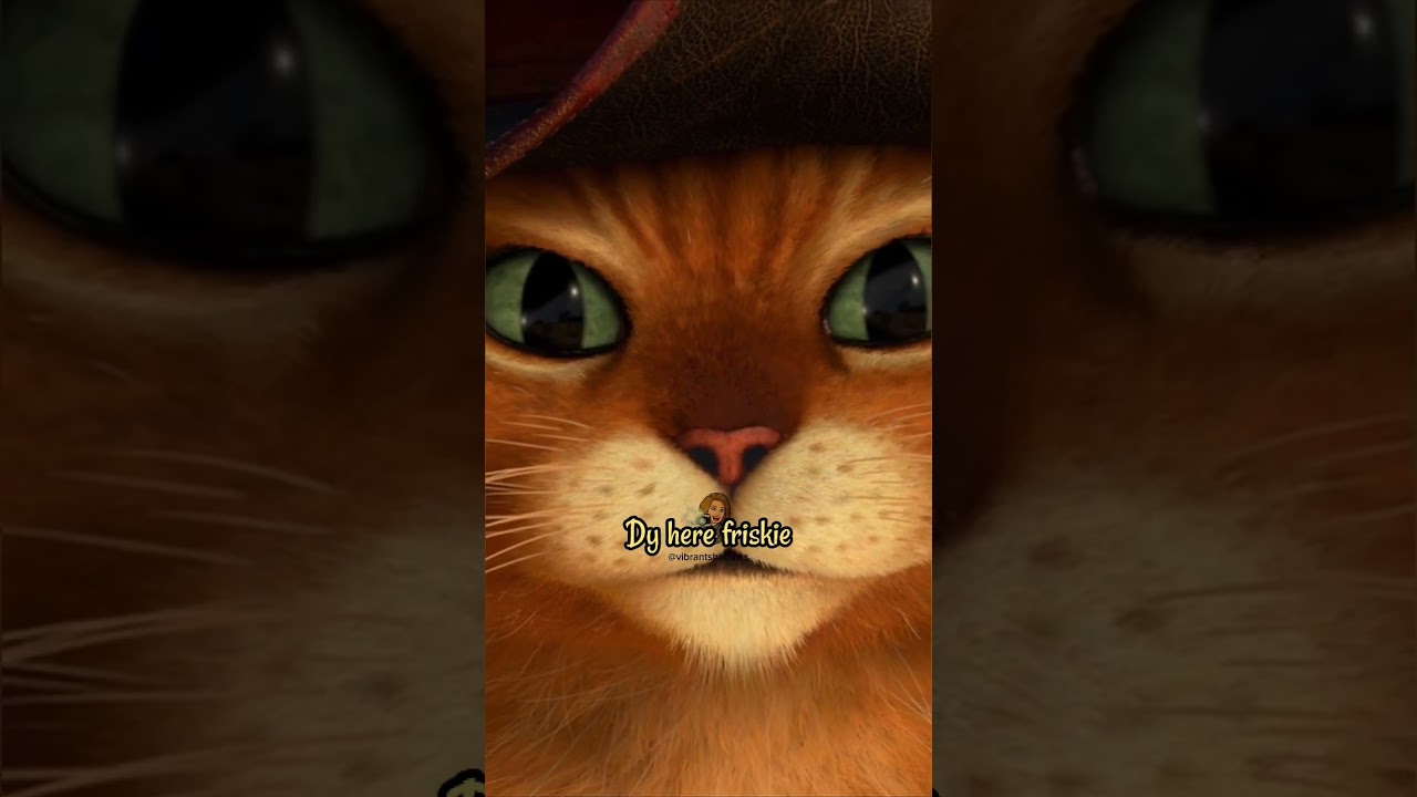 Dashnori me push. Macoku me cizme dubluar ne shqip