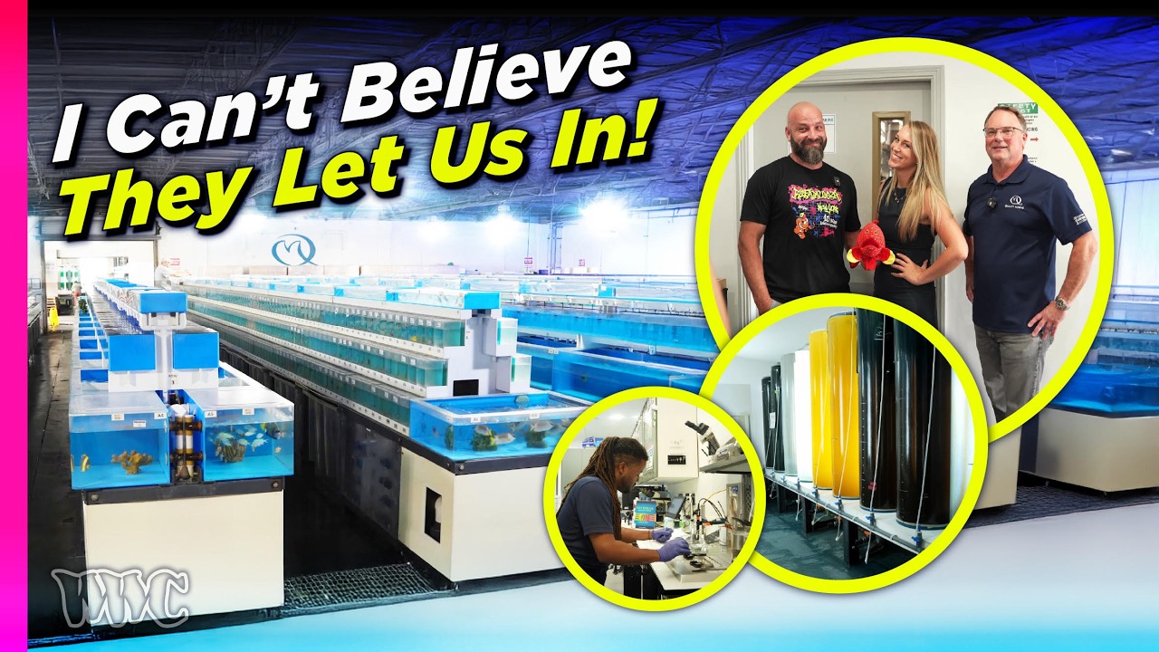 Behind the Scenes at Quality Marine | Exclusive Facility Tour in Los Angeles
