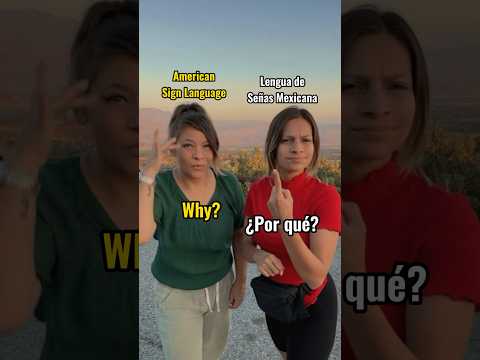 Learn questions in American Sign Language #ASL and Mexican Sign Language #LSM with us. #shorts