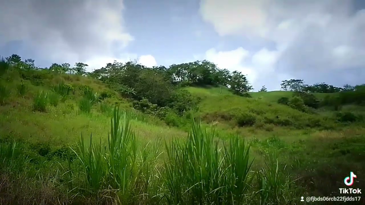 #environment #forest #forester #fieldwork #fieldworker